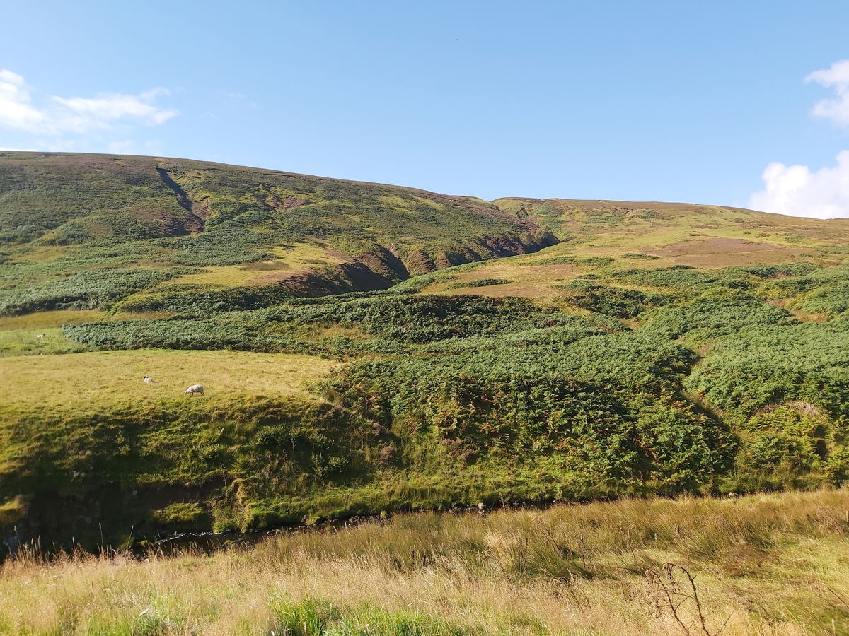 Ainsey Knowe In The Cheviots - Cheviot99