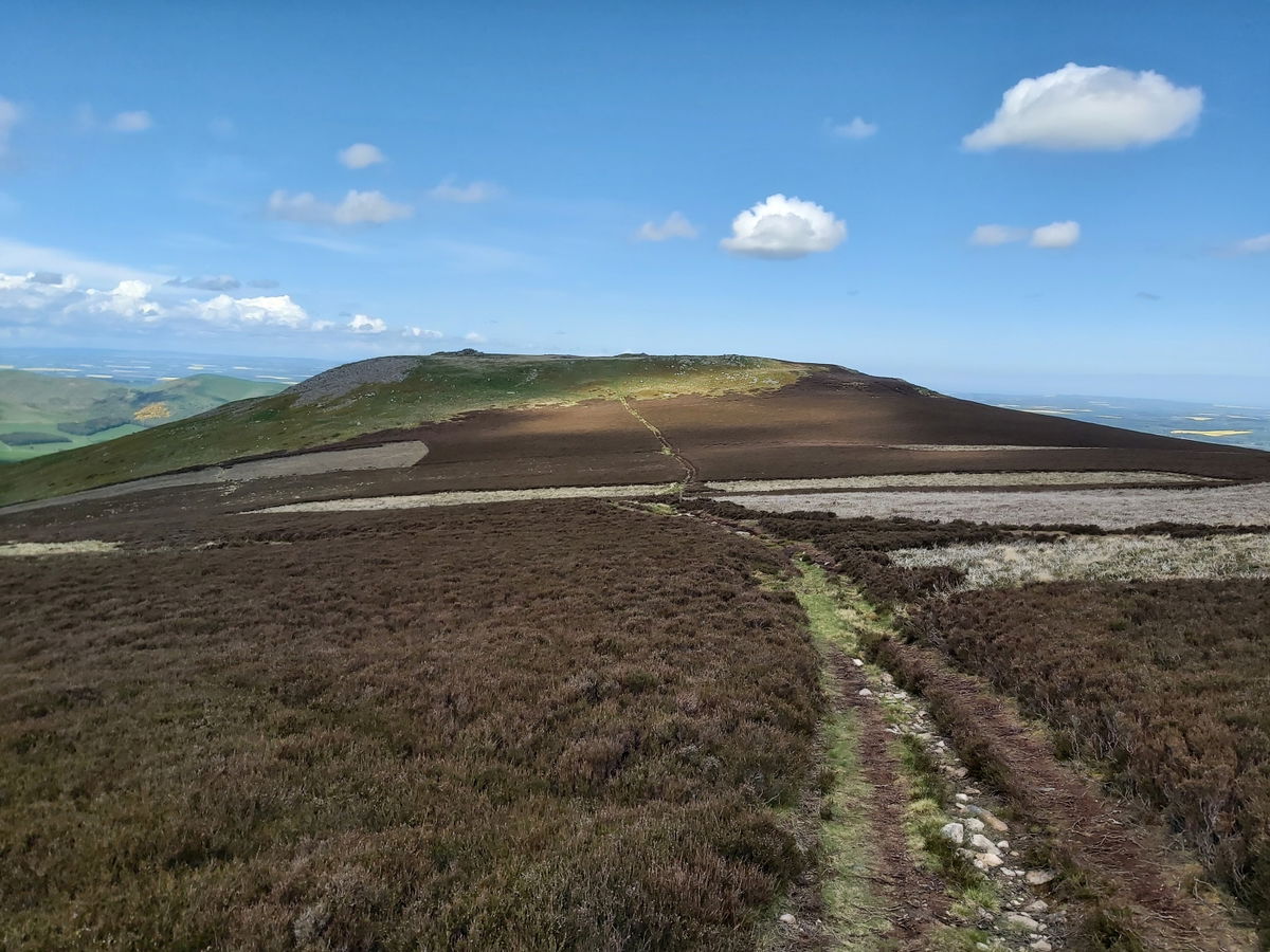 Easter Tor In The Cheviots - Cheviot99