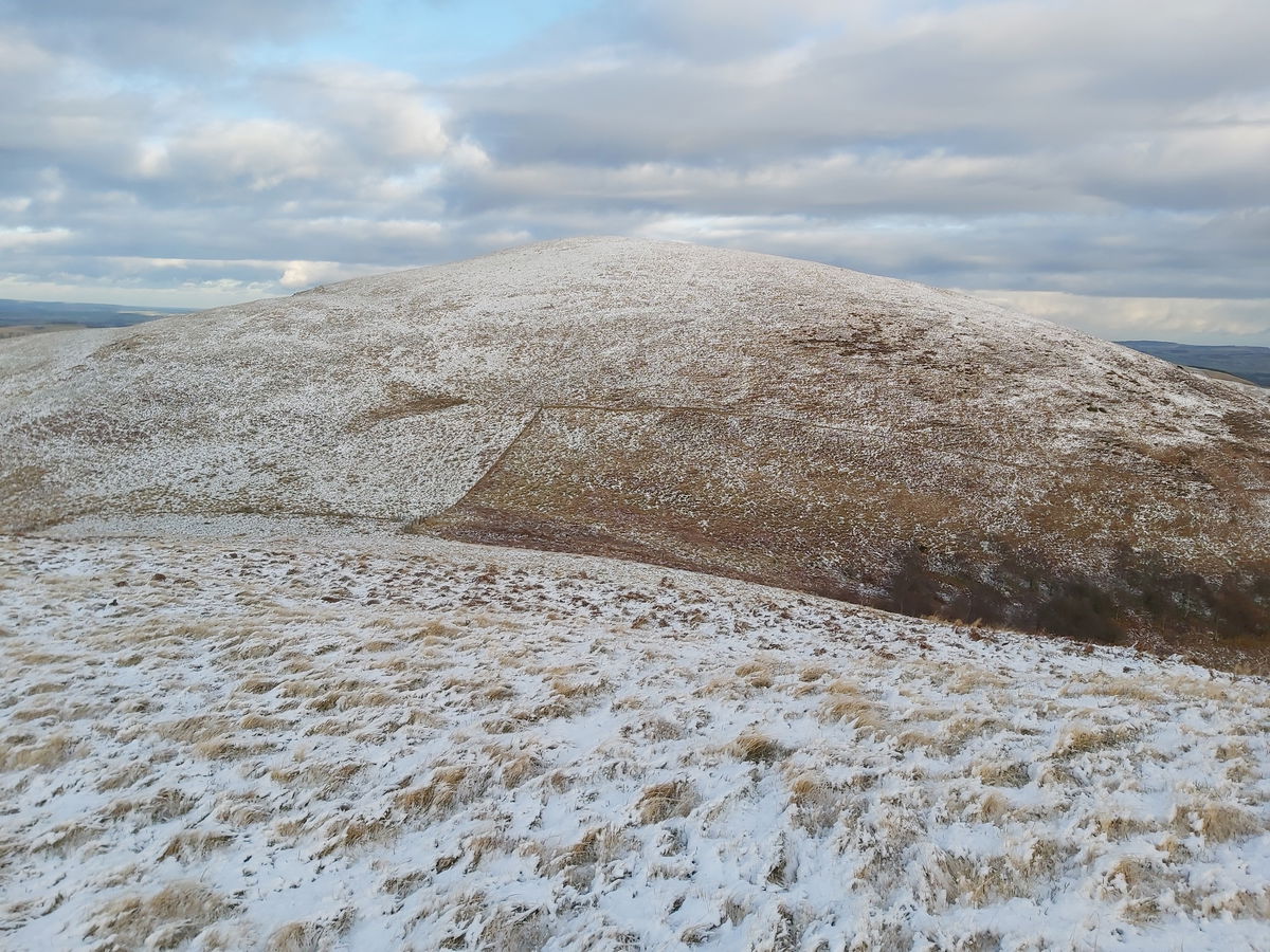 Kilham Hill In The Cheviots - Cheviot99