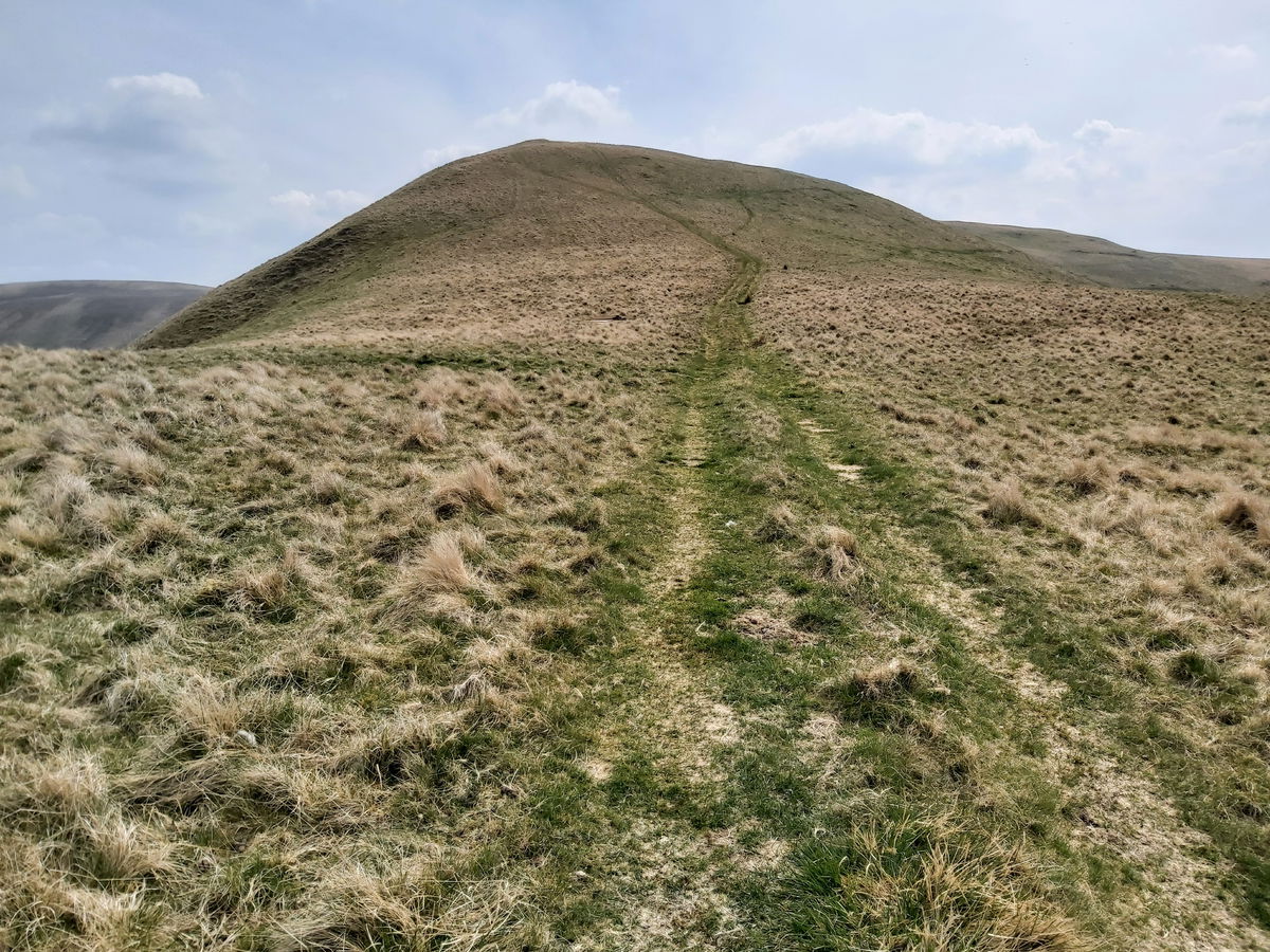 Kyloe Shin In The Cheviots - Cheviot99