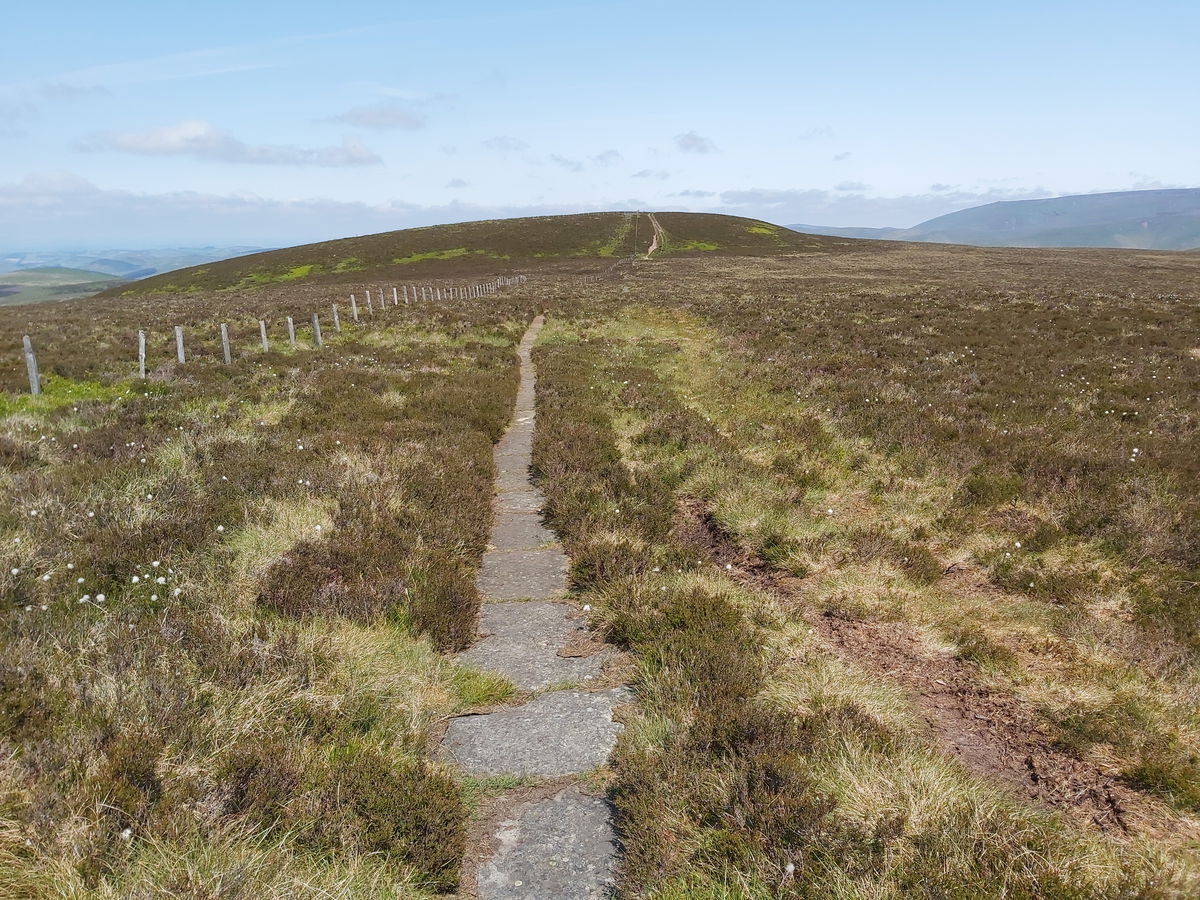 Mozie Law In The Cheviots - Cheviot99