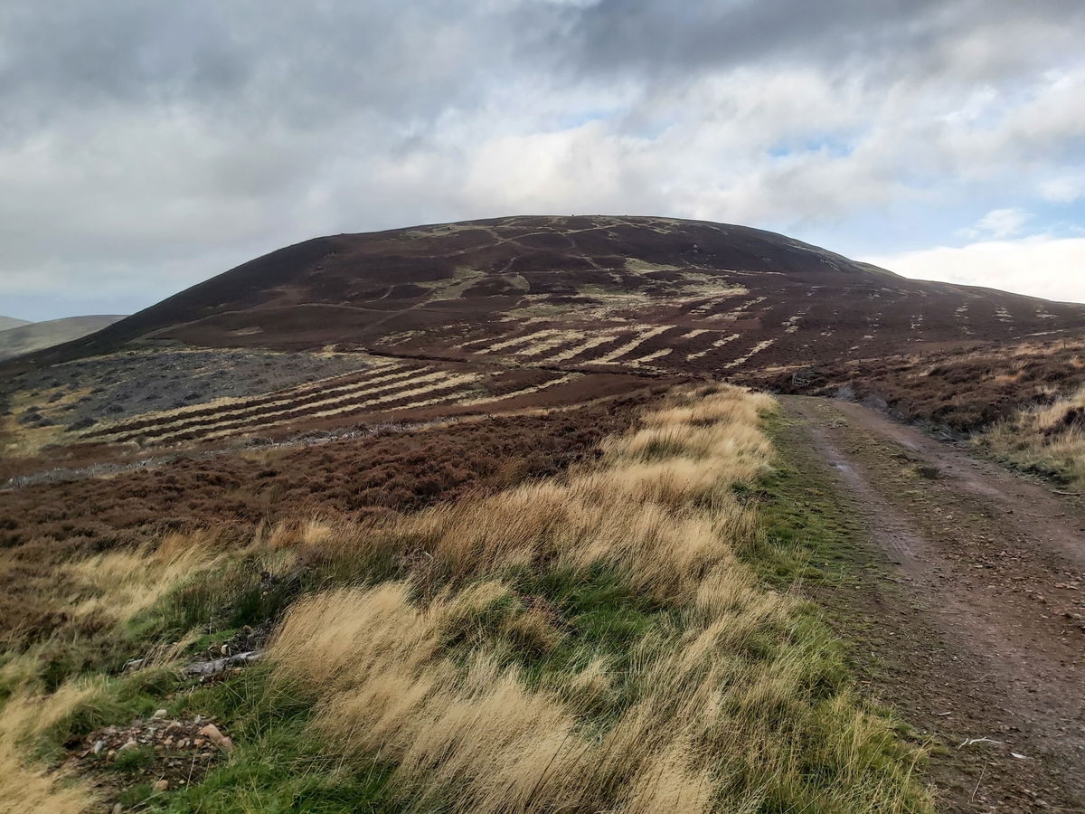 Preston Hill In The Cheviots - Cheviot99