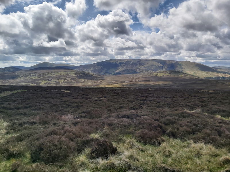 The Cheviot In The Cheviots - Cheviot99