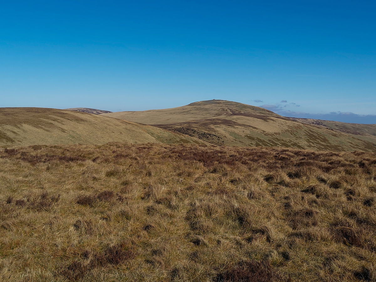 The Schil In The Cheviots - Cheviot99