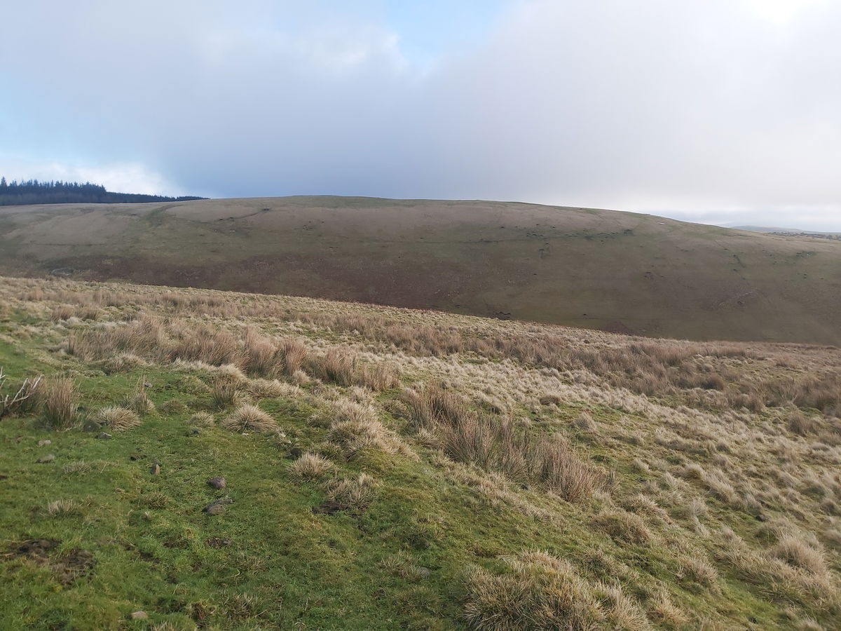 Wholehope Knowe In The Cheviots - Cheviot99