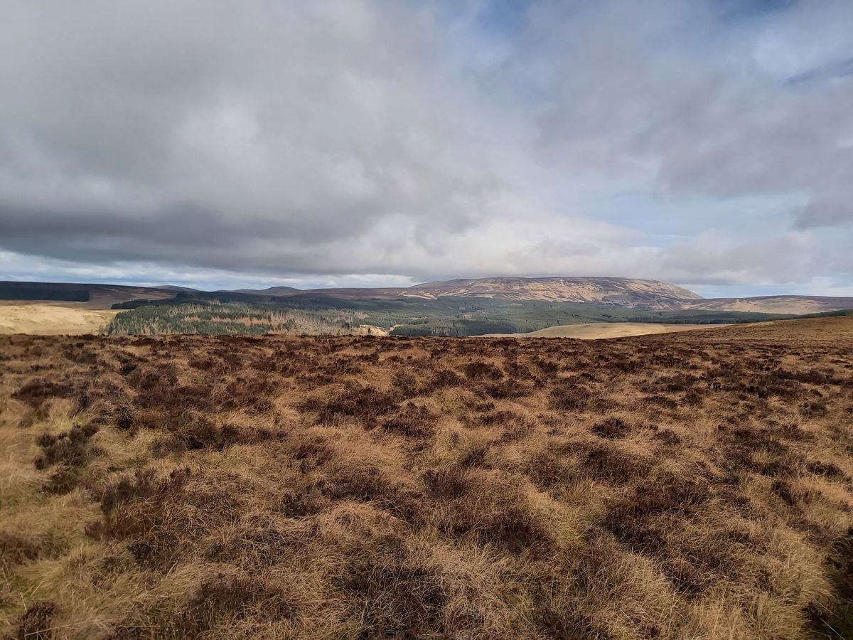 Yarnspath Law In The Cheviots - Cheviot99