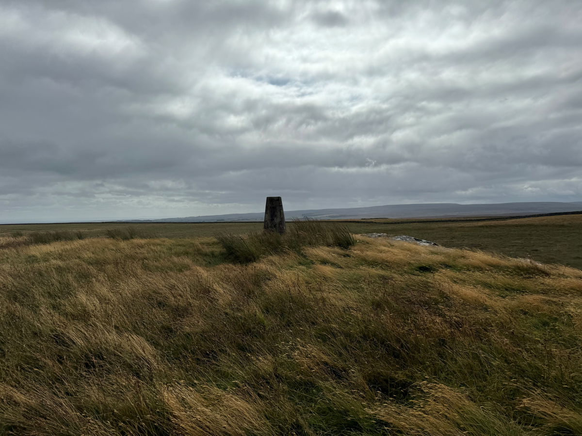 Brown Rigg Trig Point In Barnard Castle - County Durham Trig Points