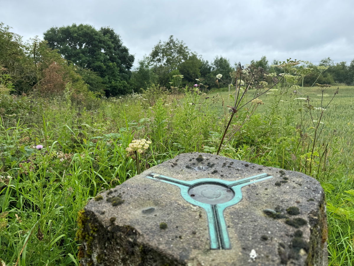Coalway Plantation Trig Point In Blaydon - County Durham Trig Points