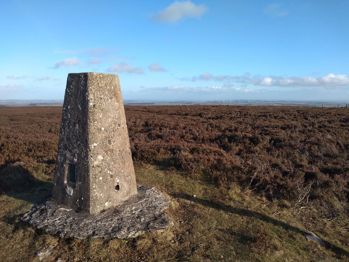 Collier Law Trig Point In Stanhope - County Durham Trig Points