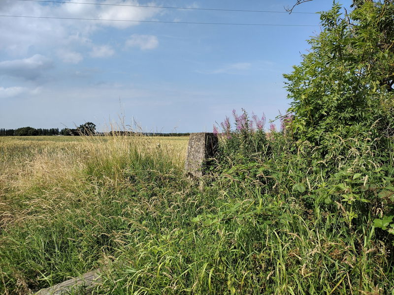 East Grange Trig Point In Durham - County Durham Trig Points