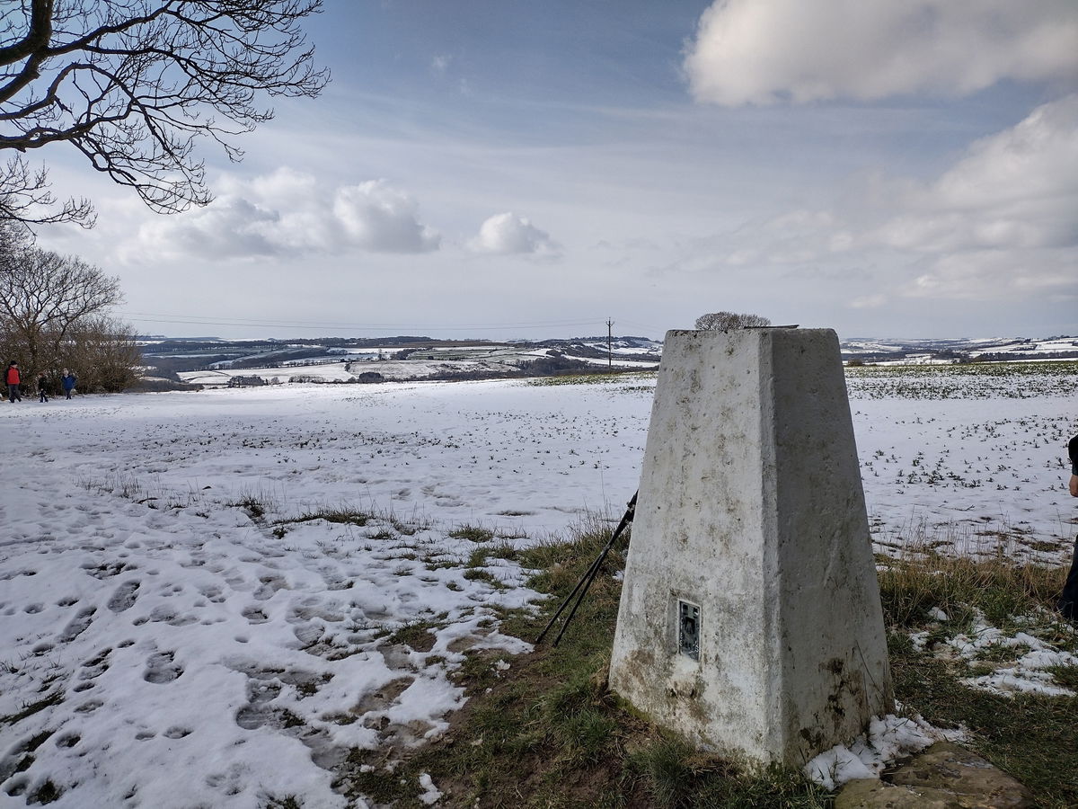 Findon Cottages Trig Point In Durham - County Durham Trig Points