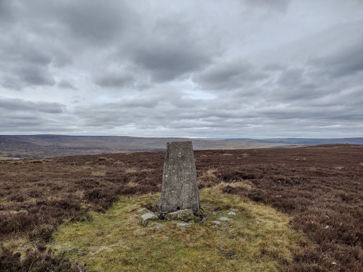 Five Pikes Trig Point In Stanhope - County Durham Trig Points
