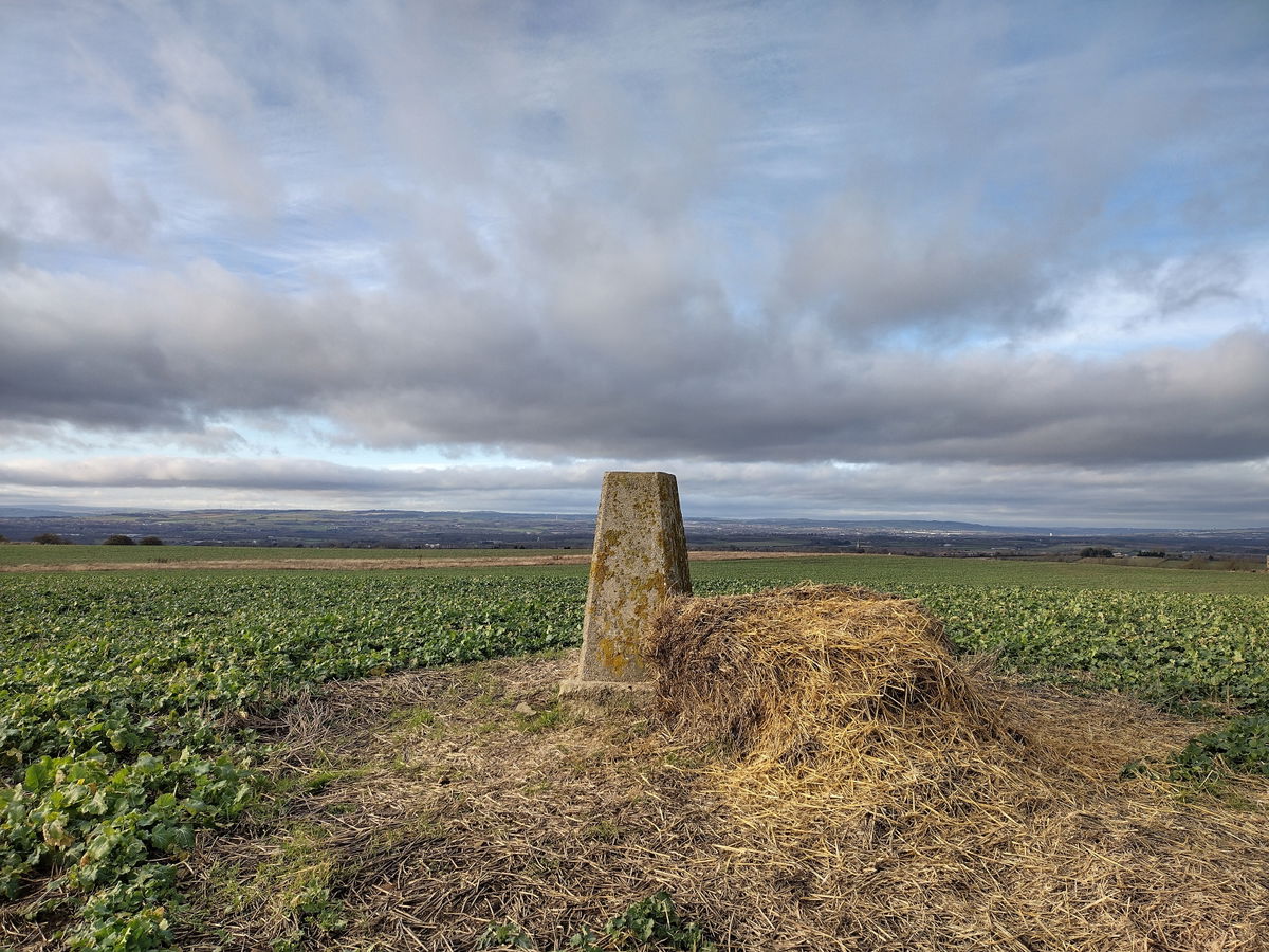 High Moorsley Trig Point In Houghton-le-Spring - County Durham Trig Points