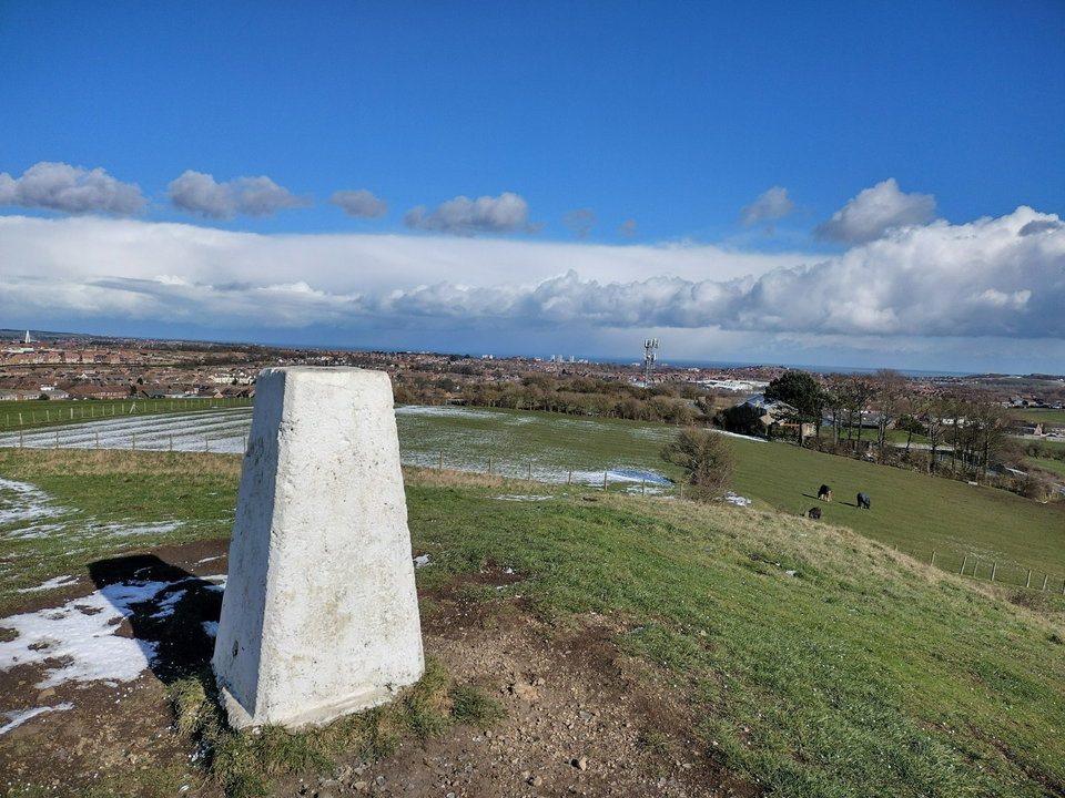 Hasting Hill Trig Point In Sunderland - County Durham Trig Points