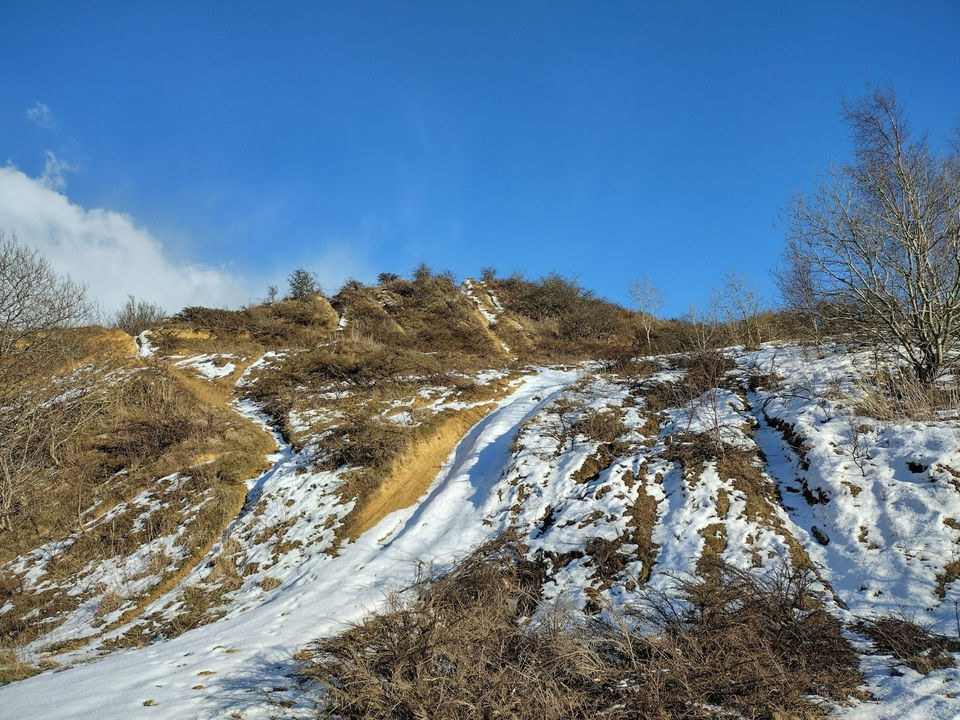 Tuthill Quarry Trig Point In Seaham - County Durham Trig Points