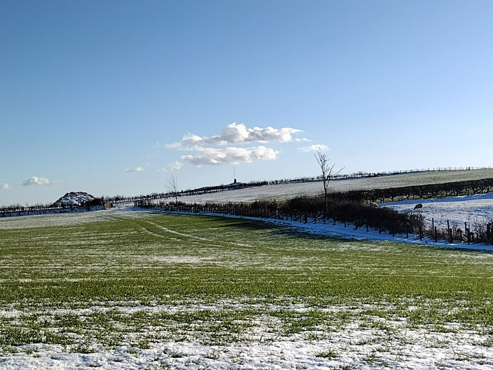 Old Cassop Trig Point In Durham - County Durham Trig Points