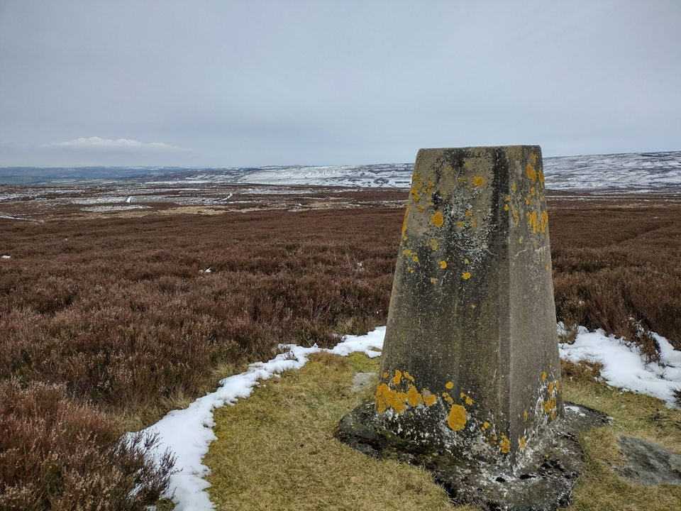 Roughside Moor Trig Point In Consett - Fabulous North