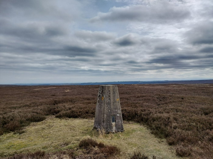 Pikestone Fell Trig Point In Stanhope - County Durham Trig Points
