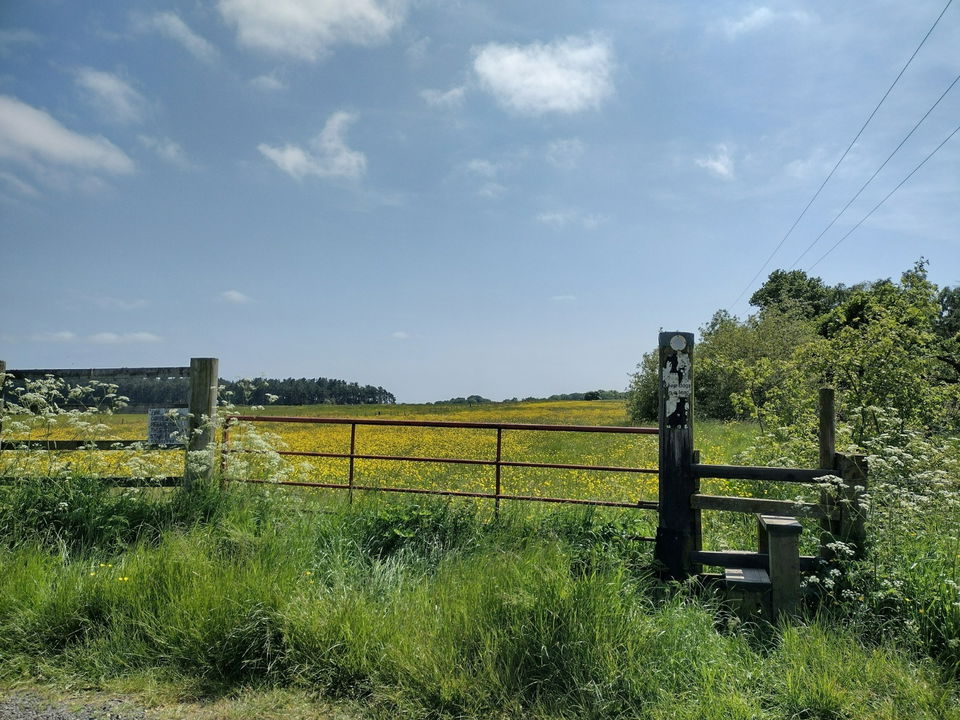 Tripsy Bank Trig Point In Bishop Auckland - Fabulous North