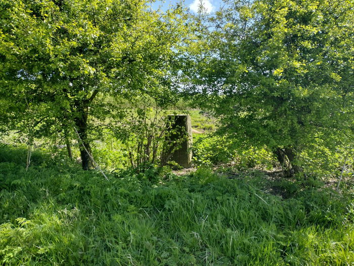 Embleton Old Hall Trig Point In Hartlepool - County Durham Trig Points