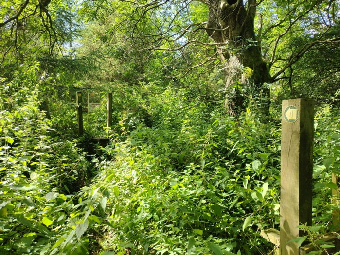 Royal Oak Trig Point In Bishop Auckland - County Durham Trig Points
