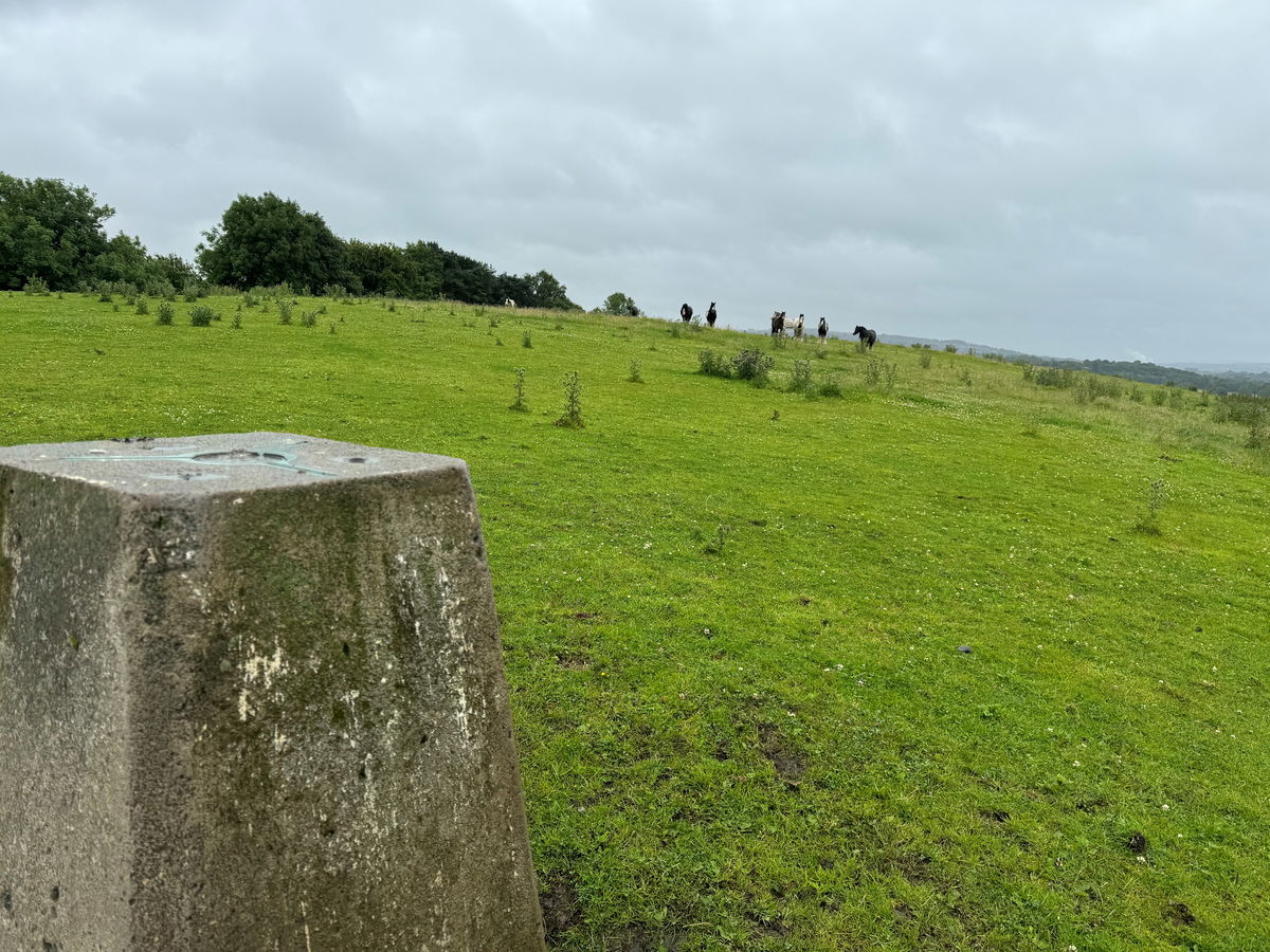 Maryside Hill Trig Point In Ryton - County Durham Trig Points