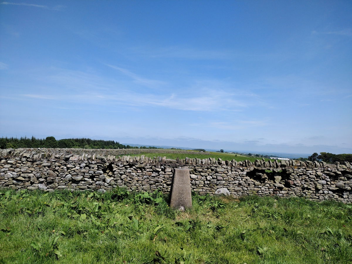 Mayland Lea Farm Trig Point In Bishop Auckland - County Durham Trig Points