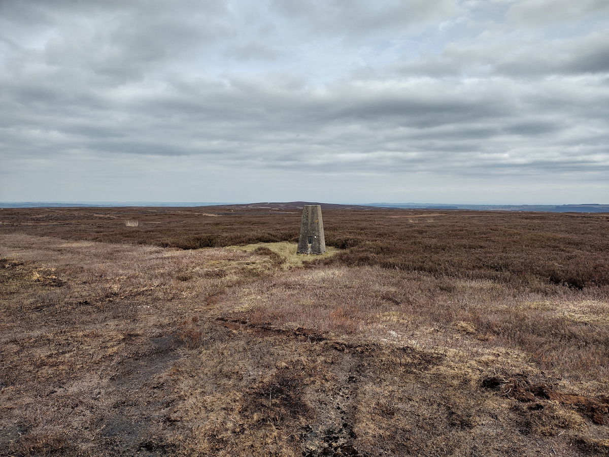 Pikestone Fell Trig Point In Stanhope - County Durham Trig Points