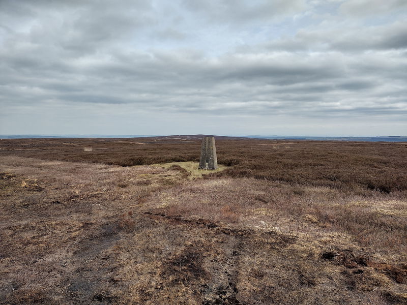 Pikestone Fell Trig Point In Stanhope - County Durham Trig Points