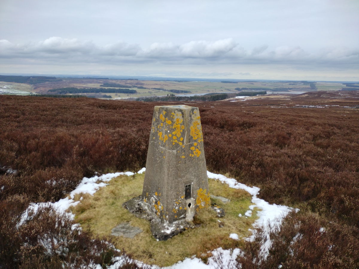 Roughside Moor Trig Point In Consett - County Durham Trig Points