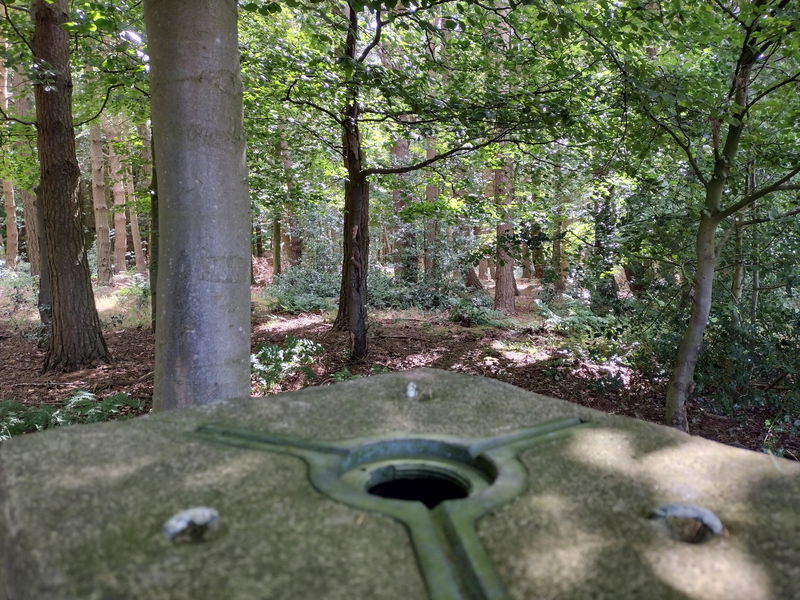 Toy Top Trig Point In Bishop Auckland - County Durham Trig Points