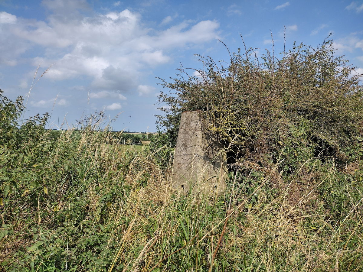 West House Field Trig Point In Sedgefield - County Durham Trig Points