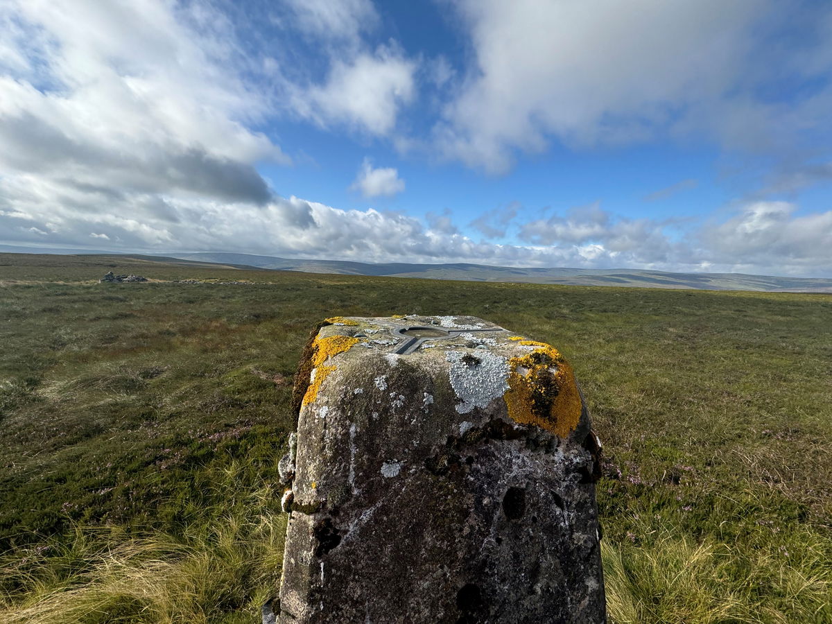 Wolfcleugh Common Trig Point In Alston - County Durham Trig Points