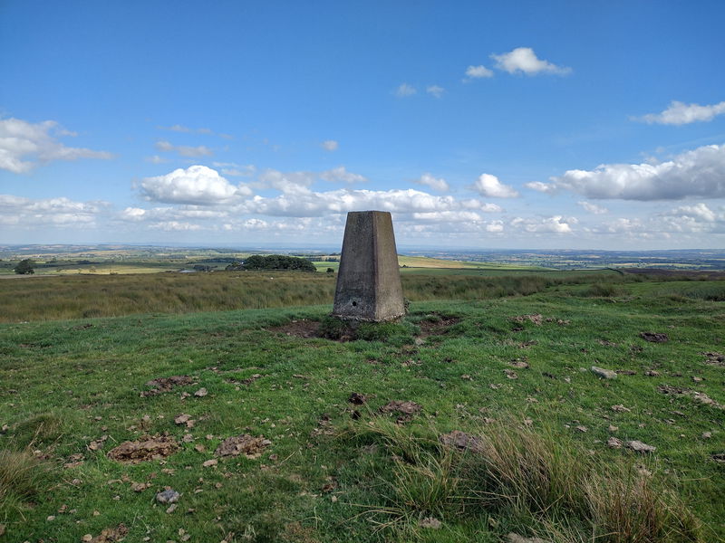 Woodland Trig Point In Witton le Wear - County Durham Trig Points