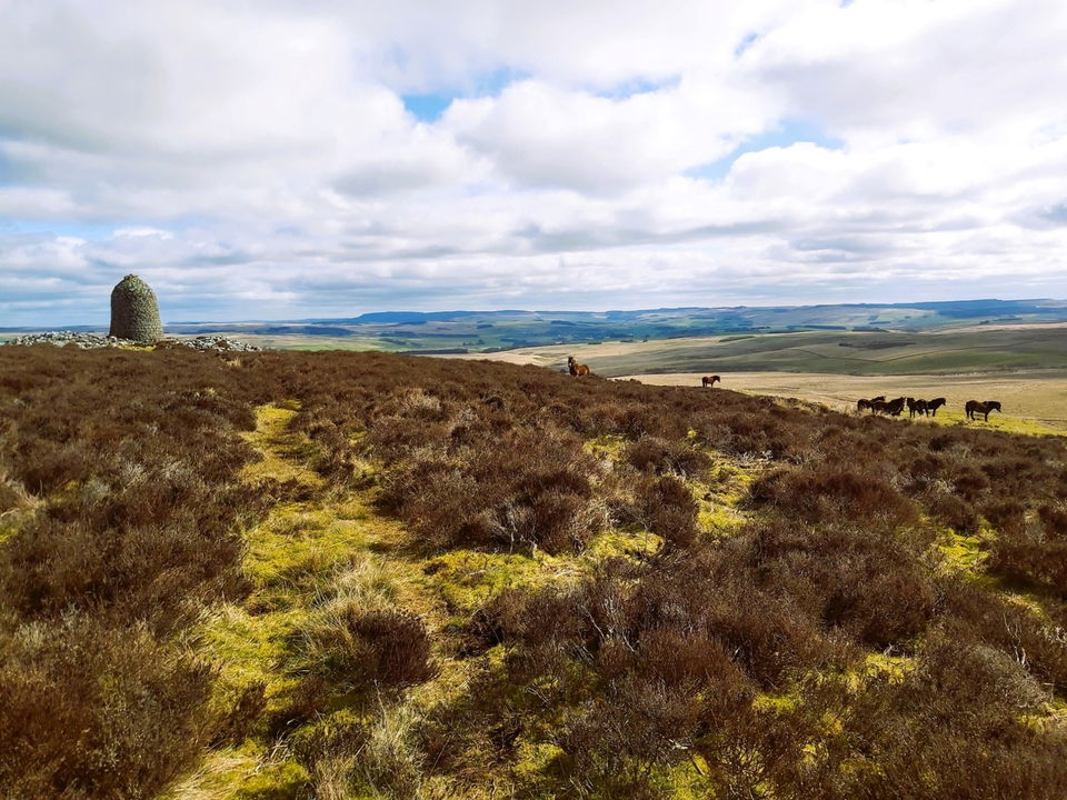 Padon Hill Monument In Otterburn - Fabulous North
