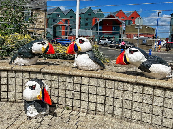 Amble Art Trail Bord Waalk Sculptures In Amble - Fabulous North