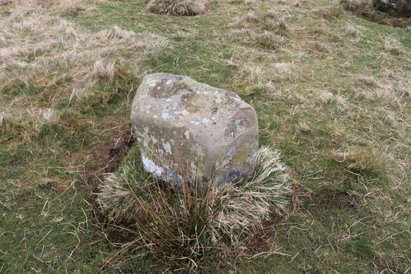 Goatstones In Simonburn - Fabulous North