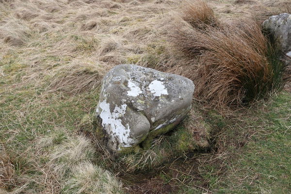 Goatstones In Simonburn - Fabulous North