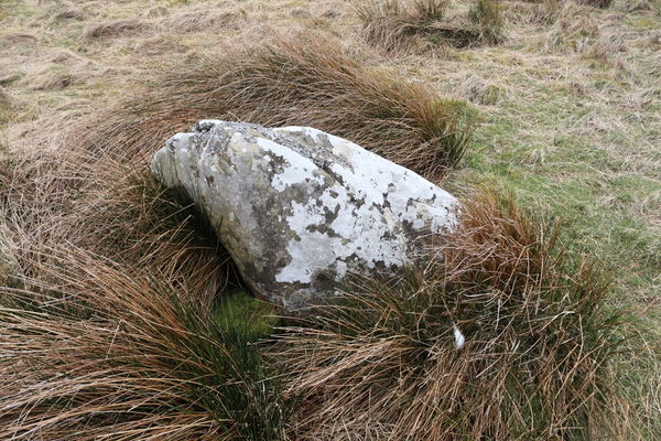 Goatstones In Simonburn - Fabulous North