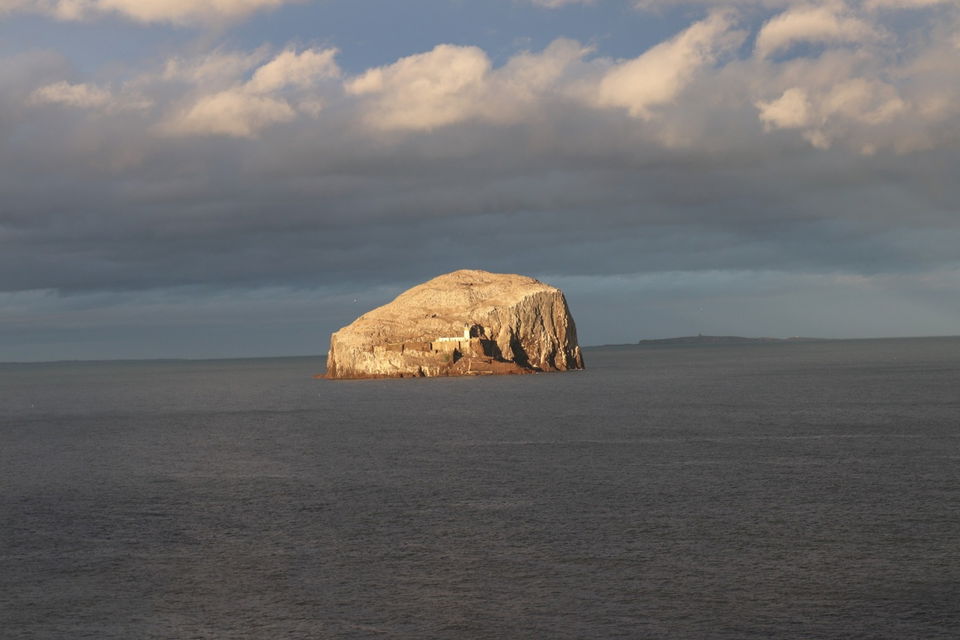 Bass Rock In East Lothian - Fabulous North