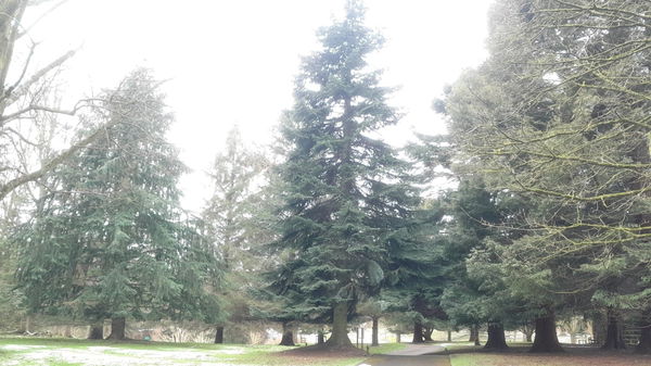 Botanic Gardens, Durham City In Durham - Fabulous North