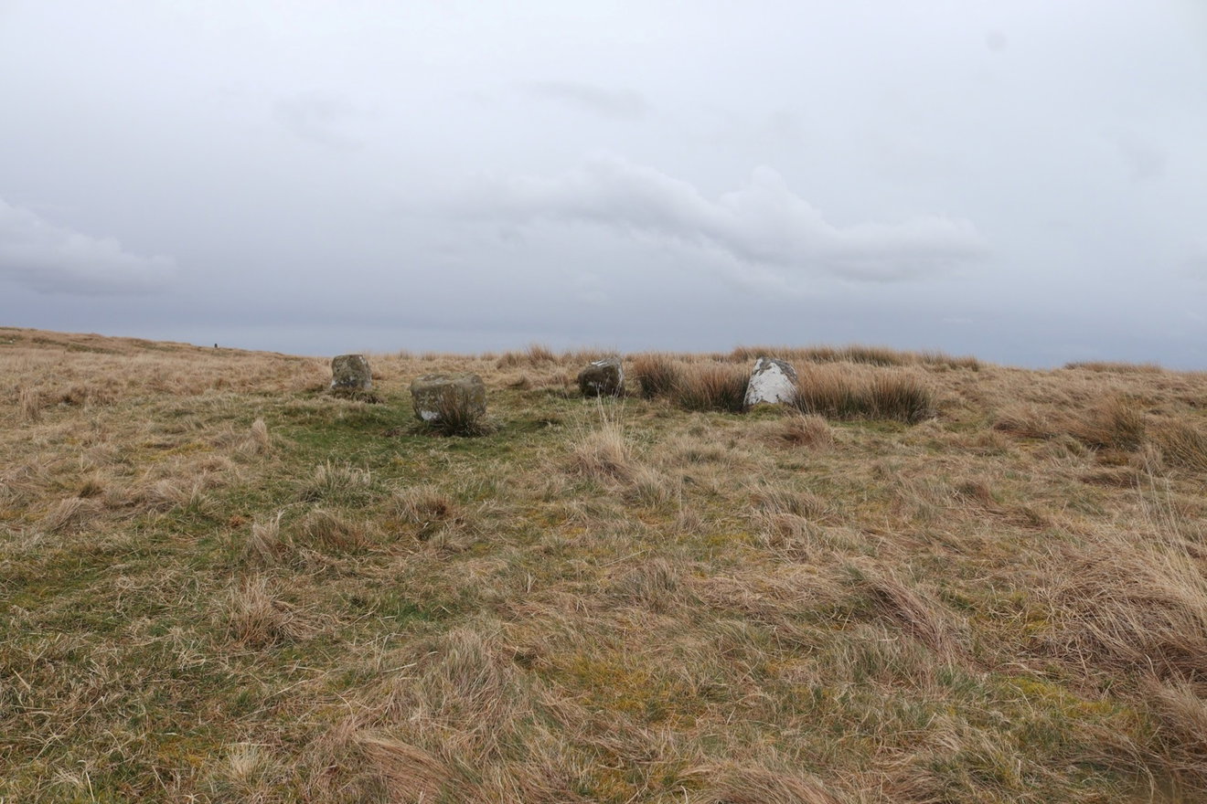 Goatstones In Simonburn - Fabulous North