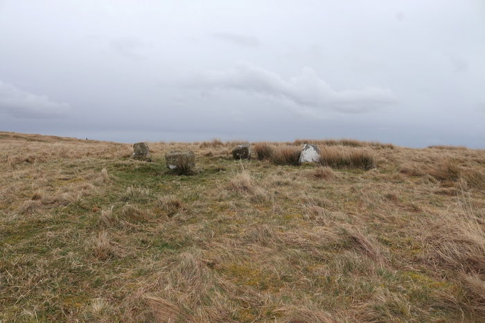 Goatstones In Simonburn - Fabulous North