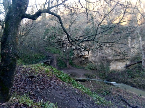 Walk Around Hawthorn Woods, Meadow And Dene In Seaham - Fabulous North