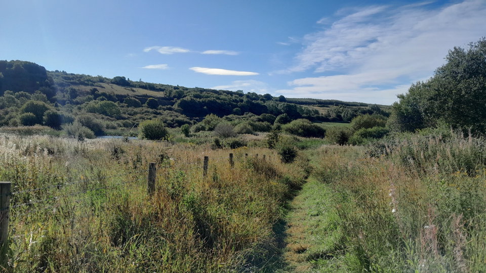 Crowtrees Nature Reserve and Engine House, Quarrington Hill Near Durham ...