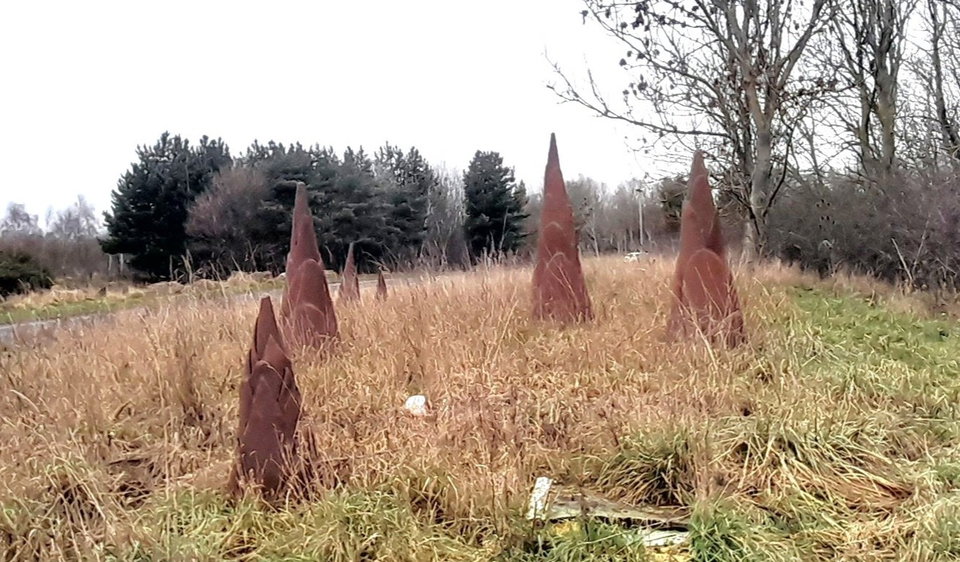 Germination Sculptures, Portrack Marsh In Middlesbrough - Fabulous North