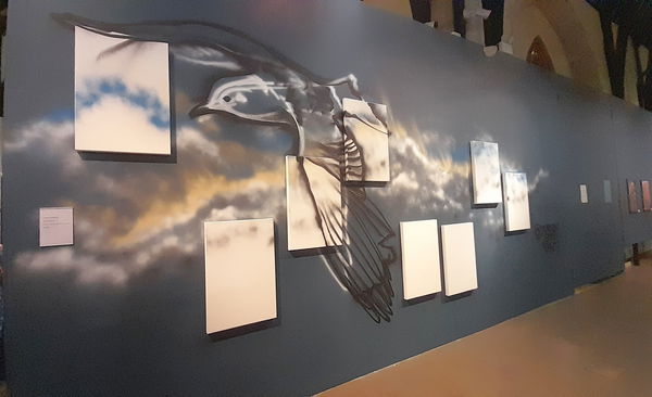 Hartlepool Art Gallery In County Durham - Fabulous North