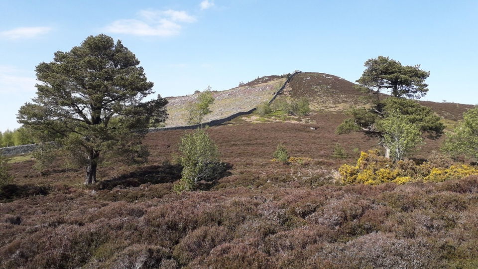 Ros Castle in Chillingham - Fabulous North