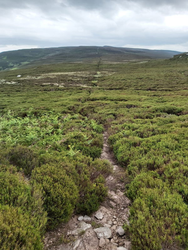 Simonside Hills in Rothbury - Fabulous North