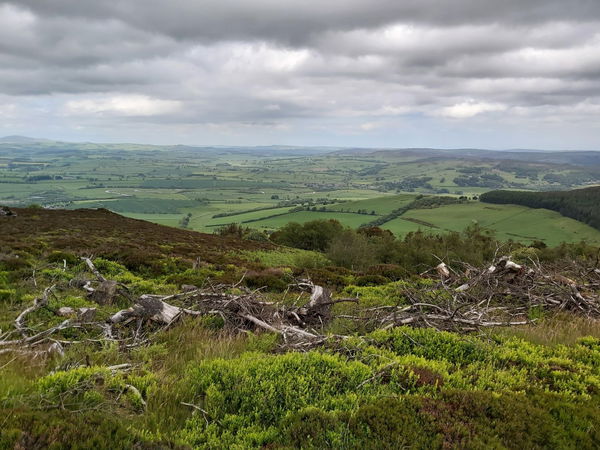 Simonside Hills in Rothbury - Fabulous North
